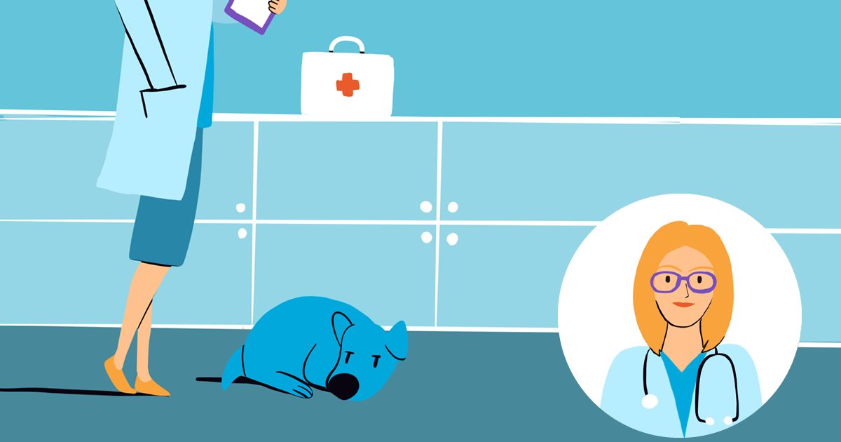 DIARRHEA IN DOGS · Marpet